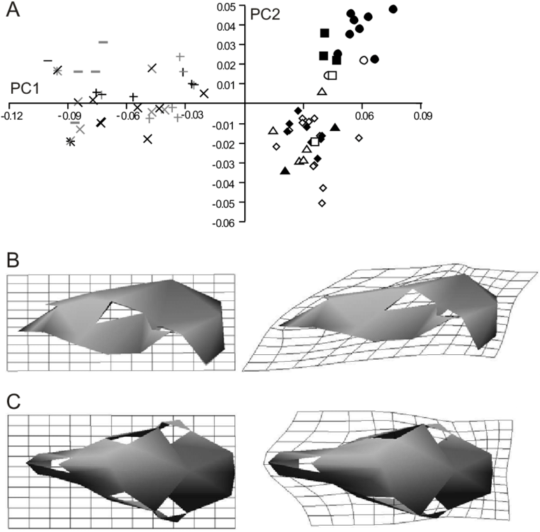 Download Plot Of Pc1 Against Pc2 From The Analysis Of All 70 PNG Image ...