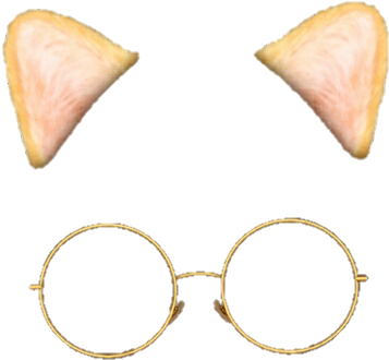 #snow #filter #cat #glasses - Cat Filter Png - Free Transparent PNG ...