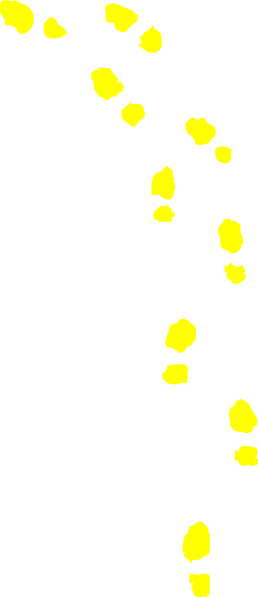 Download Small - Yellow Footprint Trail PNG Image with No Background ...