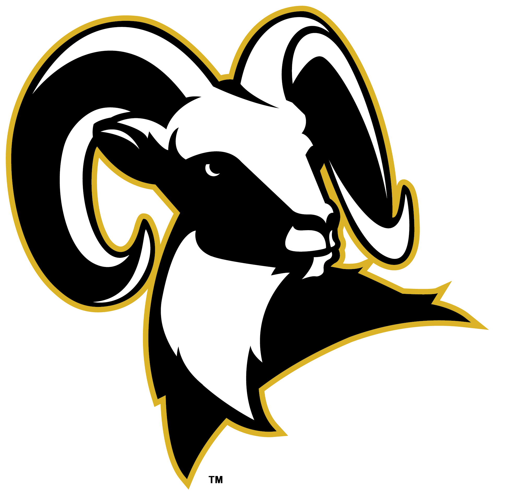 Download Spirit Symbols - Highland High School Colors PNG Image with No ...