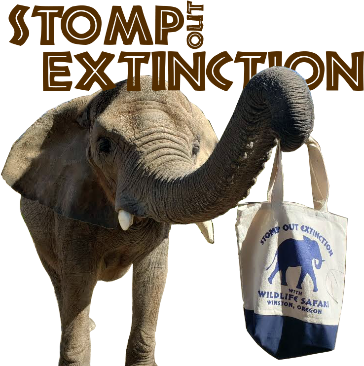 Download Help Us Stomp Out Extinction - Indian Elephant PNG Image with ...