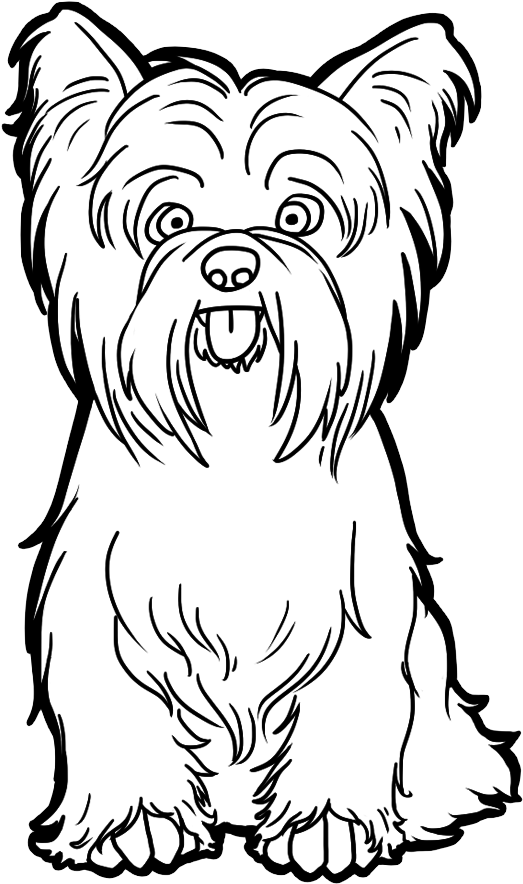 Download Dog Png Clipart - Yorkshire Terrier Drawing Easy PNG Image ...