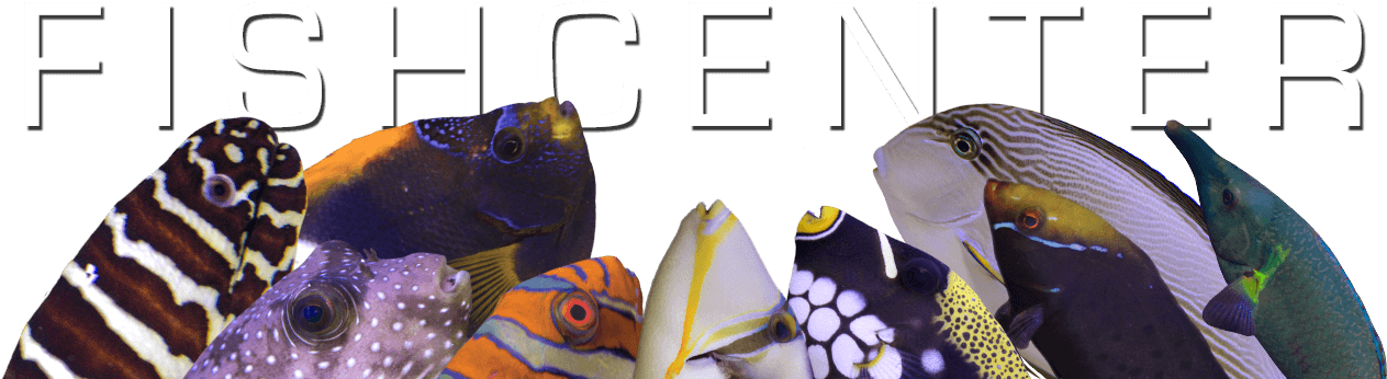 Download Fishcenter Live - Fish Center Live PNG Image with No ...