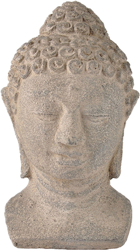 Download Productimage0 - Bust PNG Image with No Background - PNGkey.com