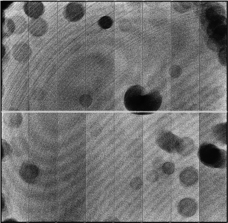 Download An Overview Of The Fixed Pattern Flat Field Distortions ...