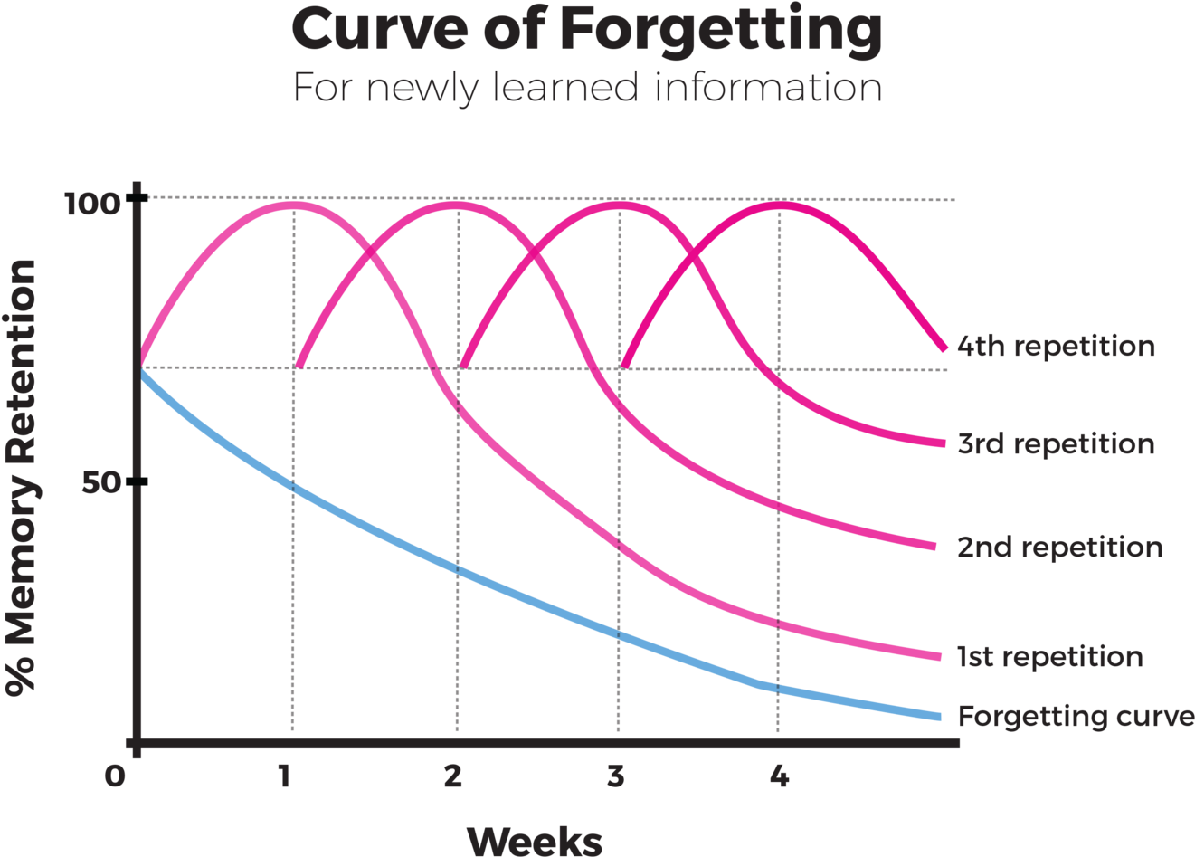 Download Curve Of Forgetting PNG Image with No Background - PNGkey.com