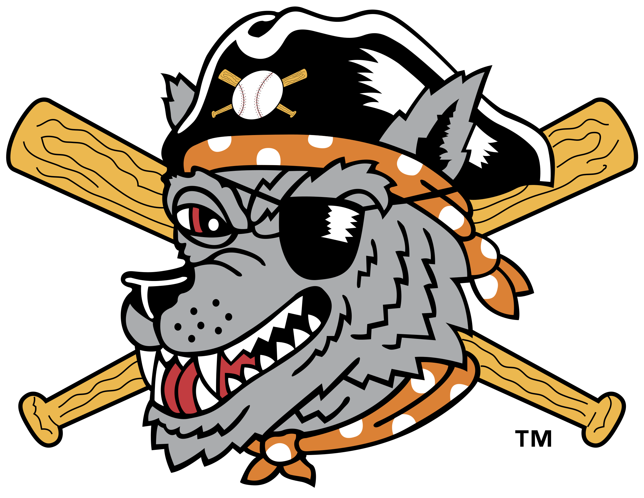 Download Erie Seawolves Logo Png Transparent - Erie Seawolves PNG Image ...