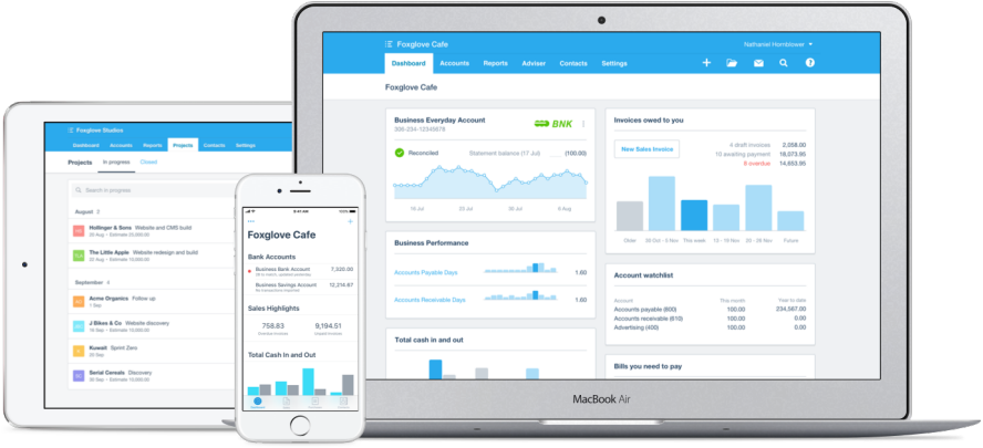 Beautiful Accounting Software - Accounting - Free Transparent PNG ...
