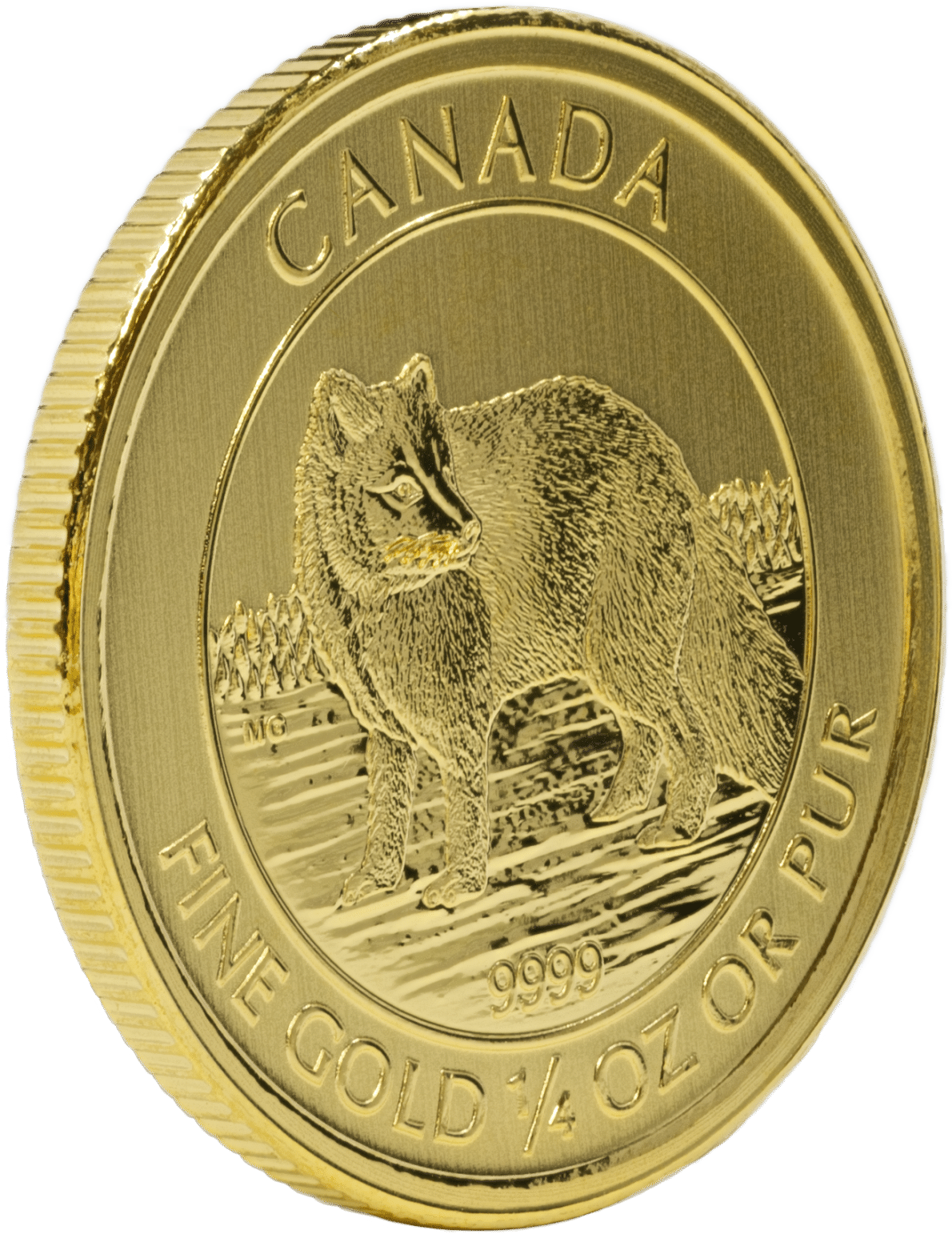 Download Coin PNG Image with No Background - PNGkey.com