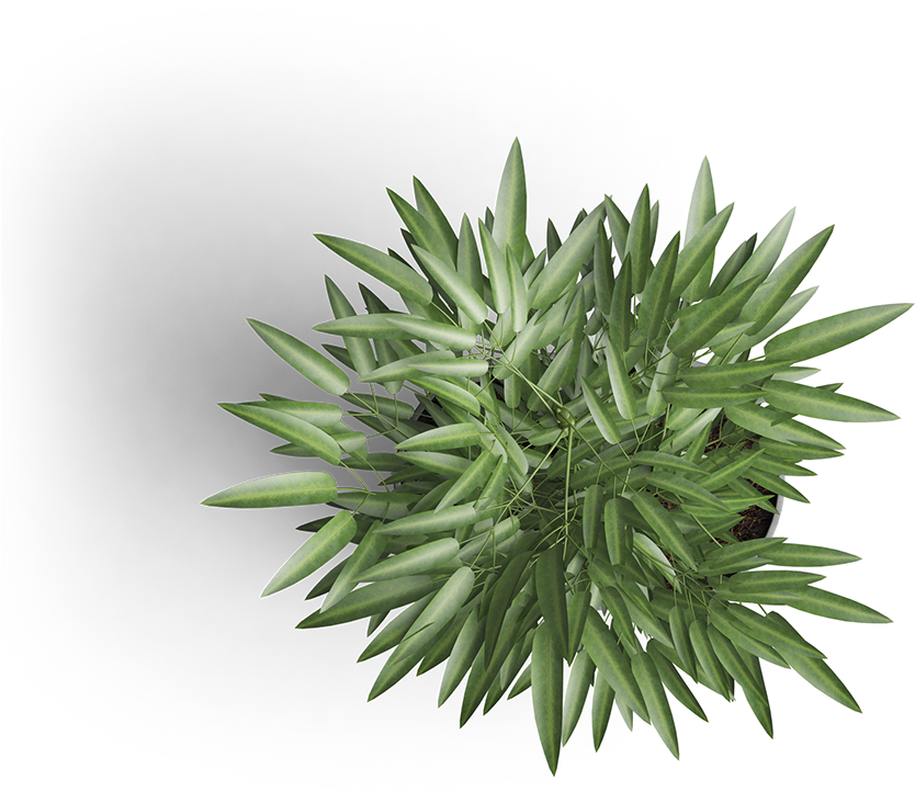 Some Of Our Clients - Logo - Free Transparent PNG Download - PNGkey