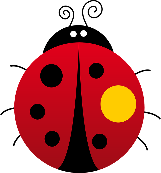 Download Ladybug Clipart Kumbang - Gambar Animasi Kumbang Kepik PNG ...