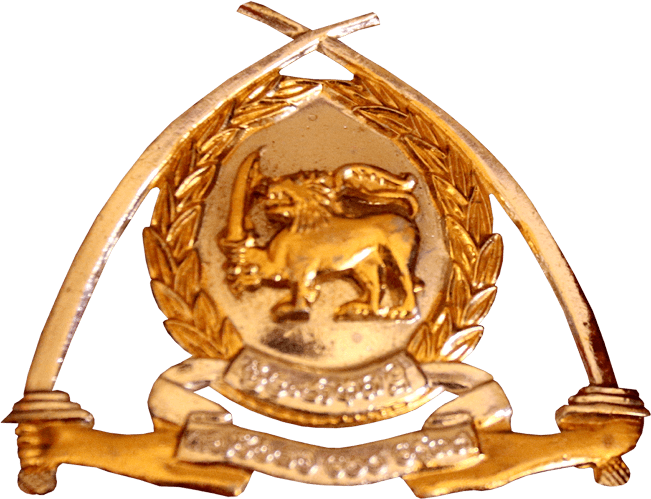 Download Sri Lanka Army Slng Logo PNG Image with No Background - PNGkey.com