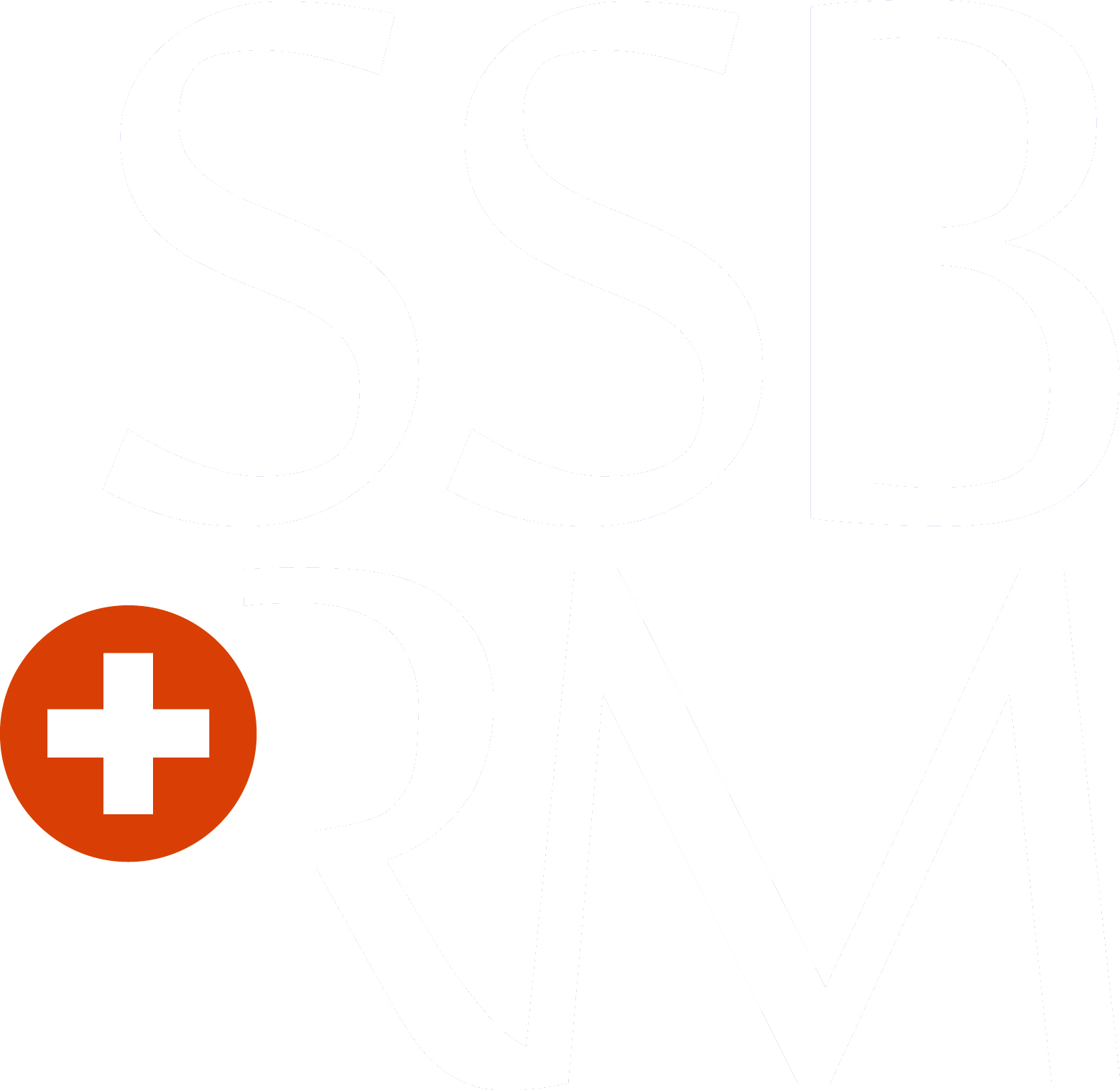 Download Ssb Rm - Flag PNG Image with No Background - PNGkey.com