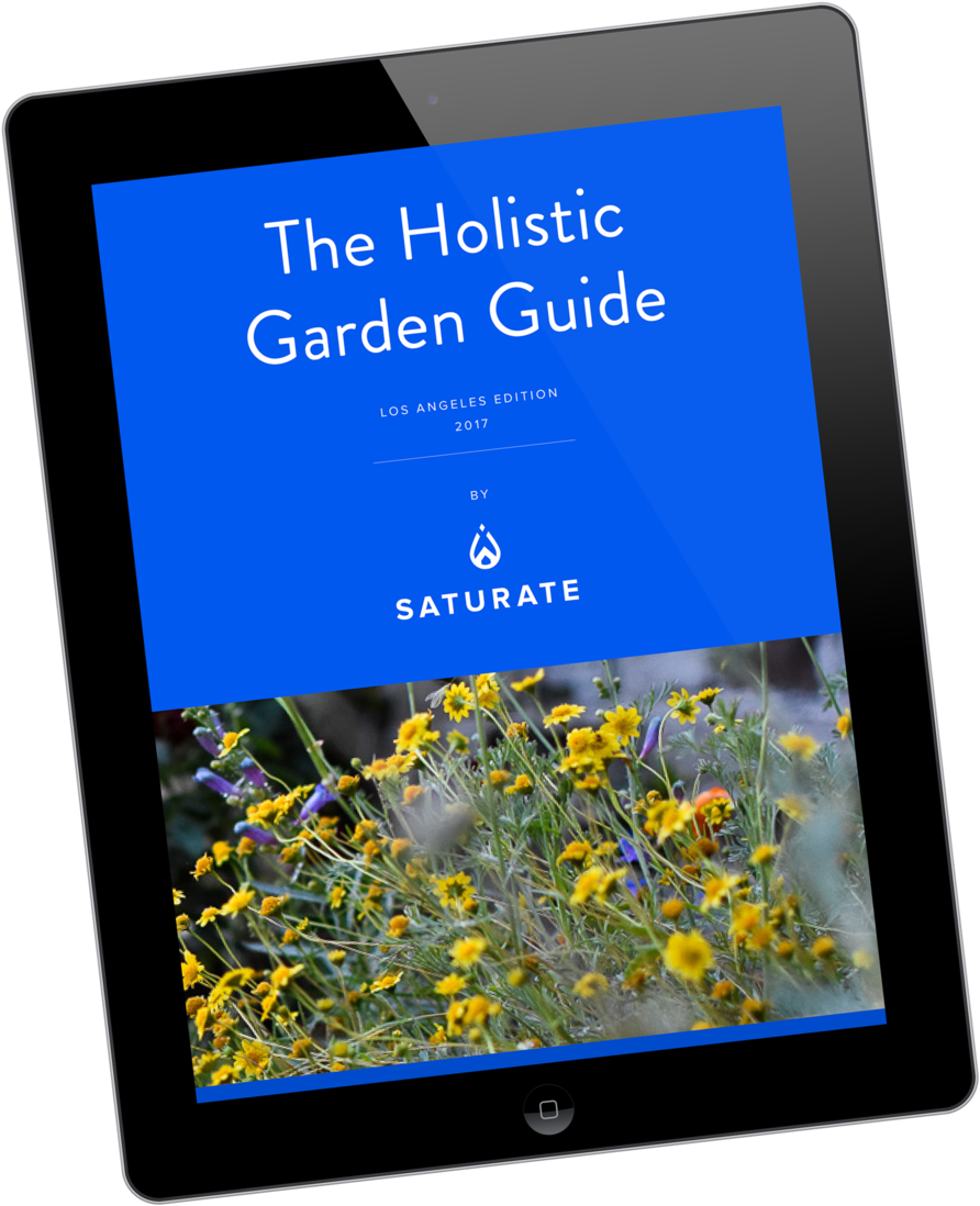 Download Mockup Angled Web Small - Tablet Computer PNG Image with No ...