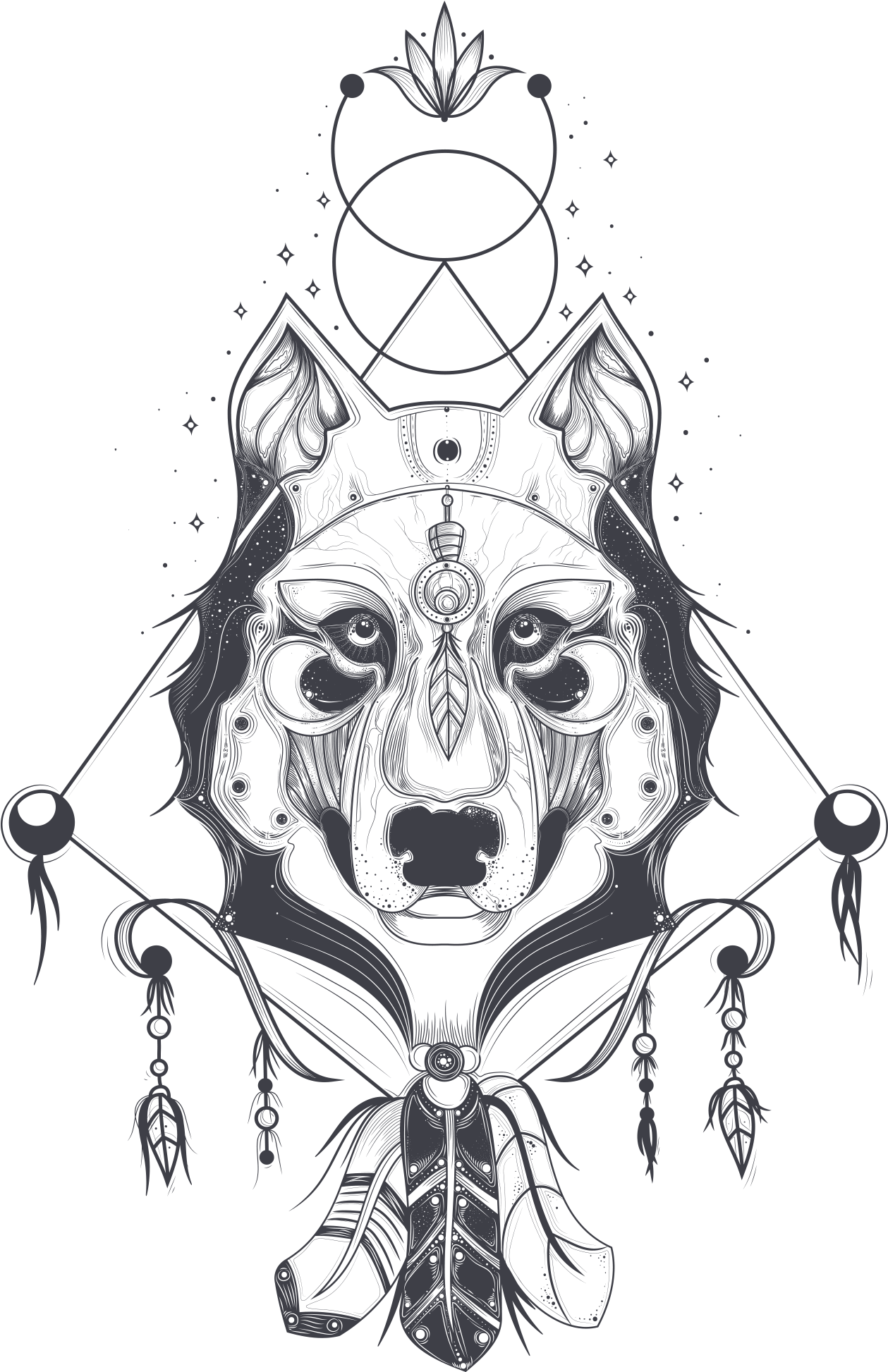 Download Download - Wolf Vector PNG Image with No Background - PNGkey.com