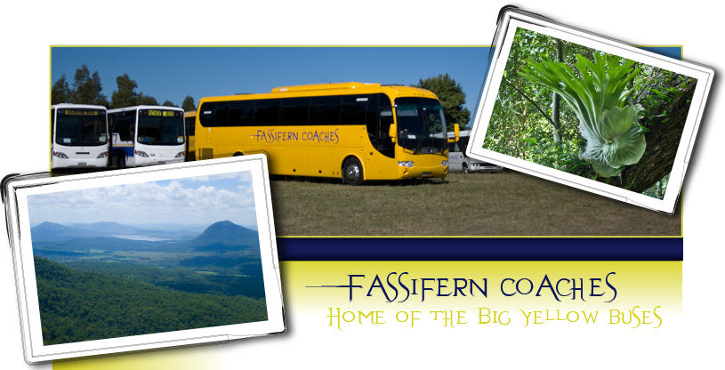 Download Yellow Buses Australia - Tour Bus Service PNG Image with No ...