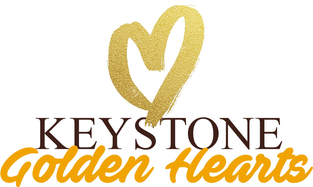 Download Join The Golden Team - Calligraphy PNG Image with No ...