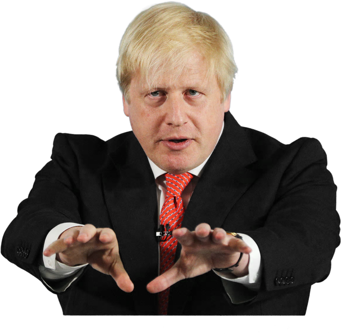 Download Personboris Johnson Waving Hands - Boris Johnson Family ...