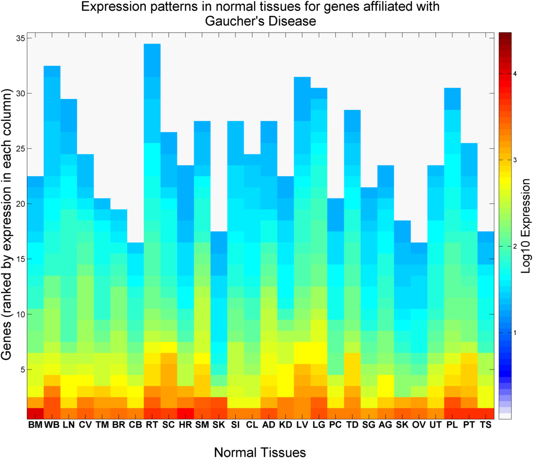 Download Expression Patterns In Normal Tissues For Genes Affiliated ...
