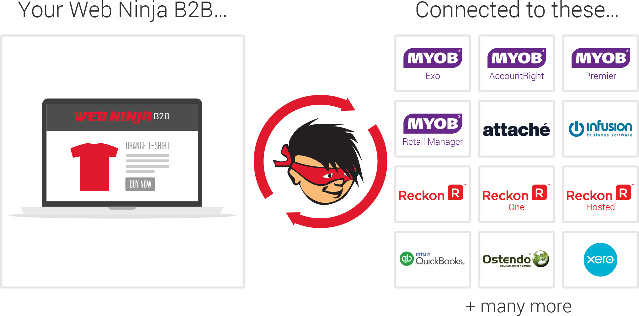 Download How Web Ninja Works - Myob PNG Image with No Background - PNGkey.com