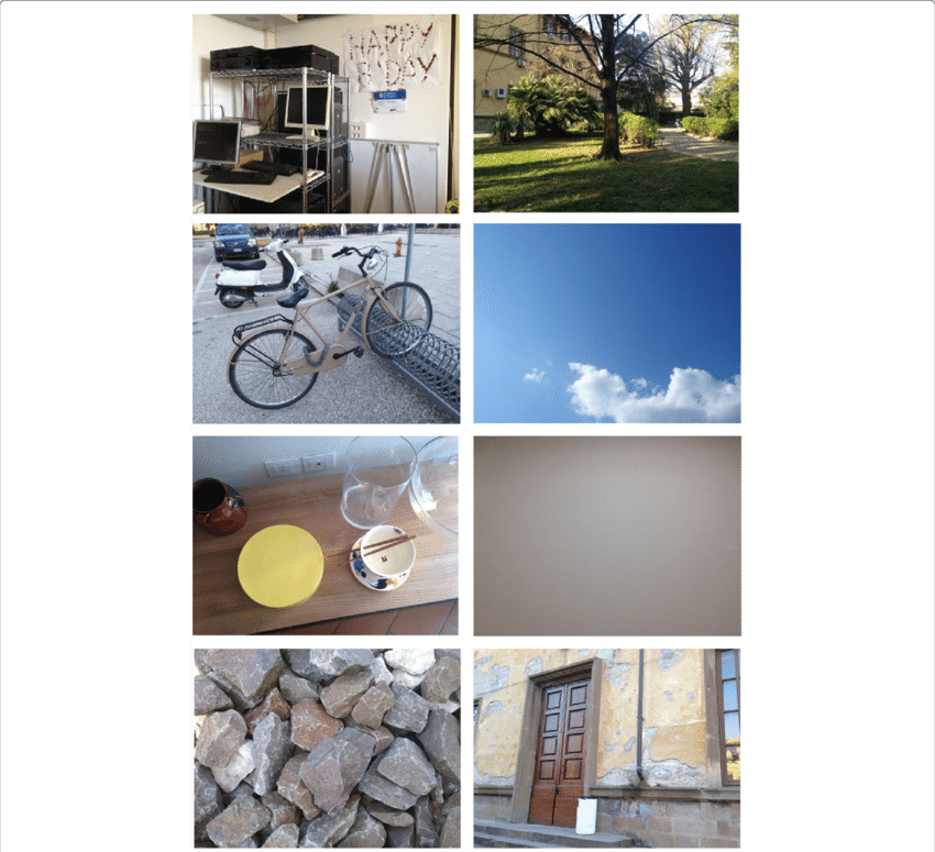 Download Some Examples Of The Images Included In The Proposed - Collage ...