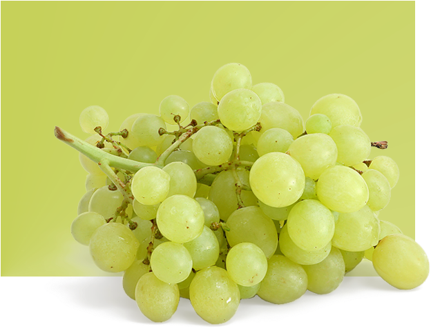 Download Table-grapes - Examples Of Grapes Fruit PNG Image with No ...