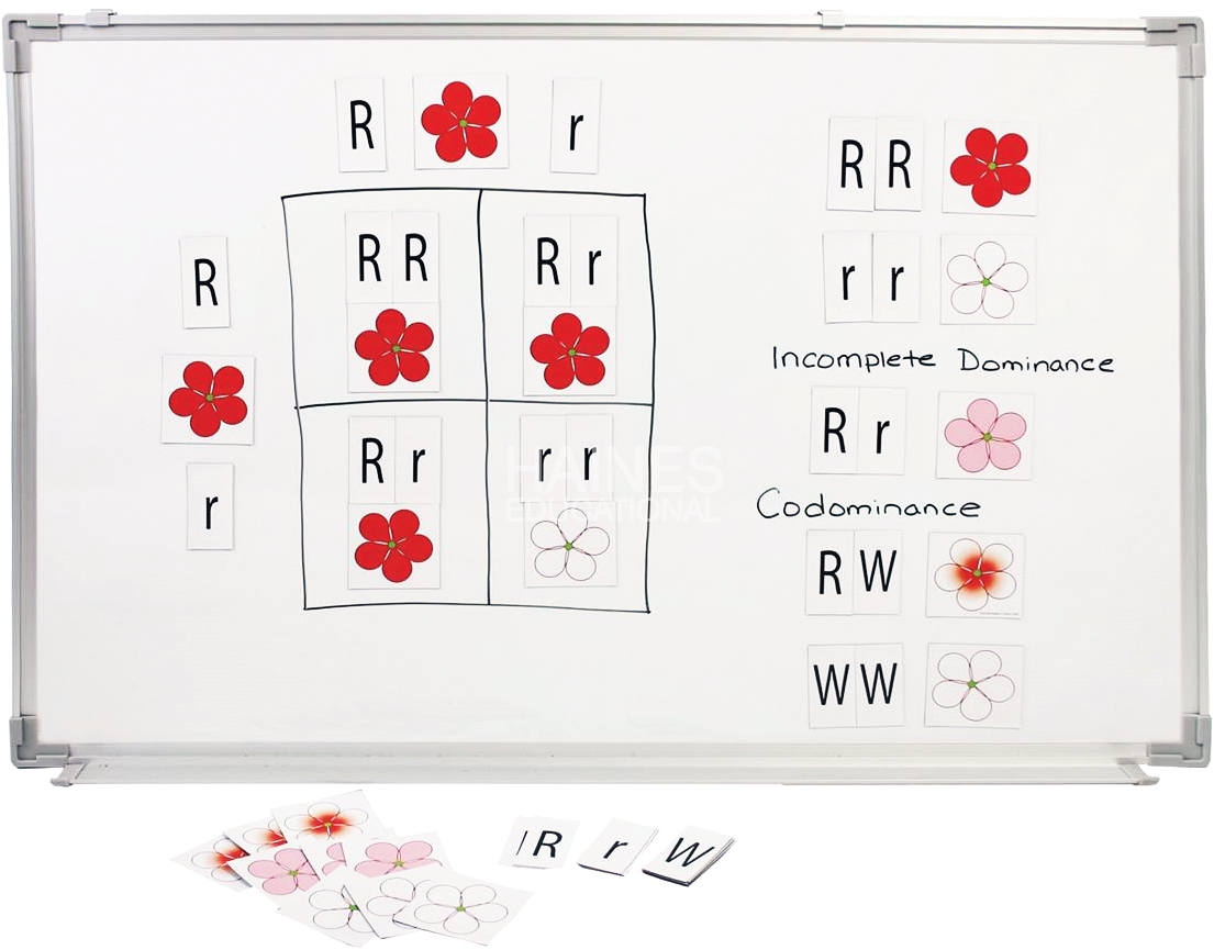 Download View Full Size - Craft PNG Image with No Background - PNGkey.com