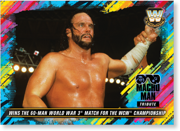 Download Gallery - Macho Man Wcw Champion PNG Image with No Background ...