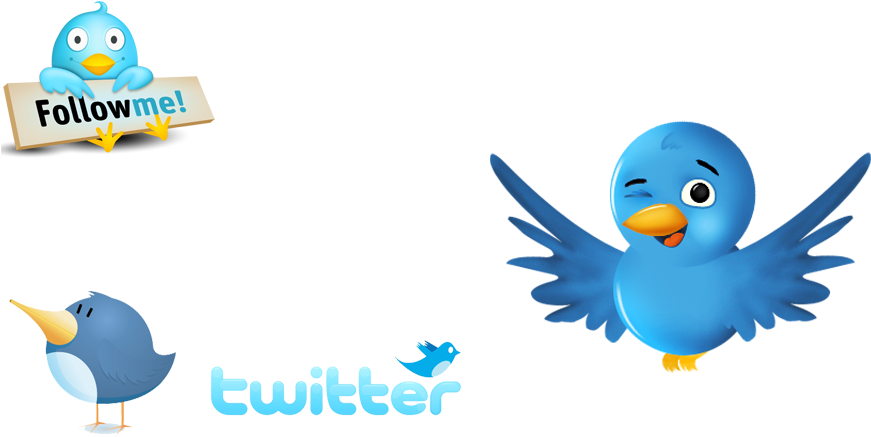 Twitter Logos - Cute Bird Transparent Background - Free Transparent PNG ...