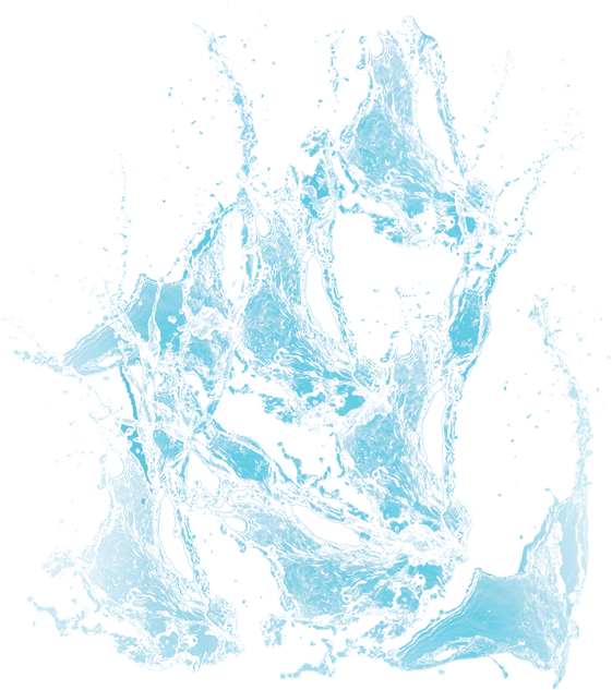 Download Illustration PNG Image with No Background - PNGkey.com