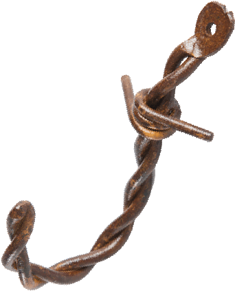 Download Big Barb Wire Hooks - Wood PNG Image with No Background ...