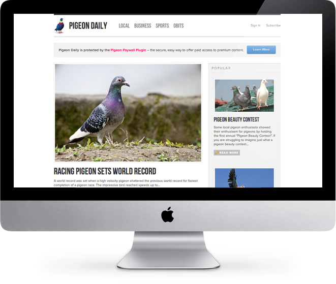 Download Graphic-preview@2x - Computer Monitor PNG Image with No ...