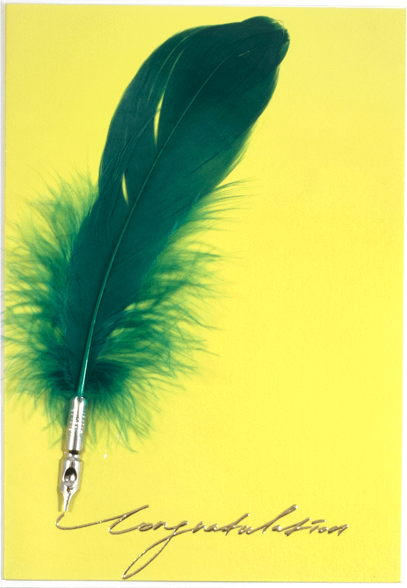 Download Feather Pen Congratulation - Calligraphy PNG Image with No ...