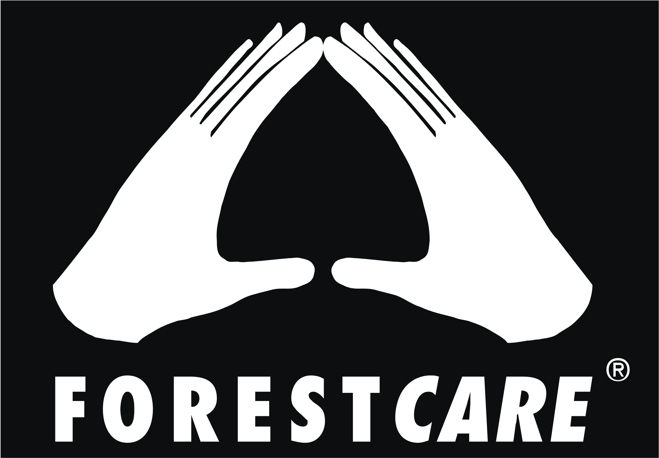 Download Forest Care Logo Png Transparent - Care Of The Forest PNG ...
