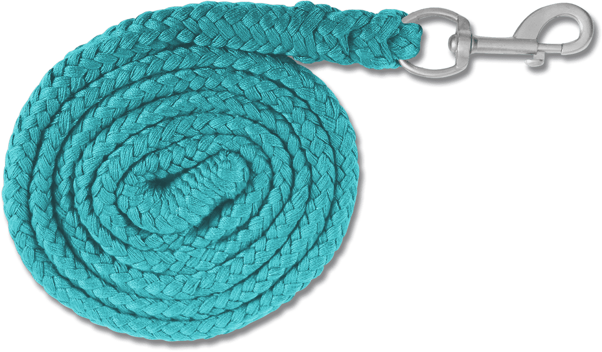 Download Transparent Lead Rope PNG Image with No Background - PNGkey.com