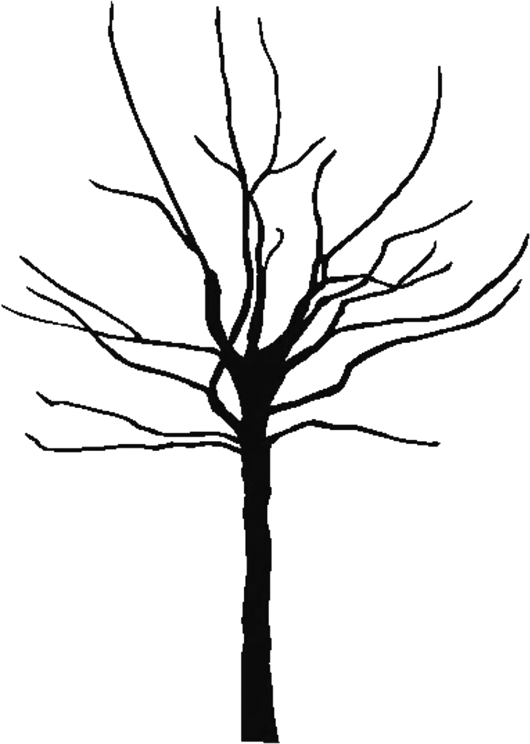 Download Bare Tree Clipart - Bare Clipart Tree PNG Image with No ...