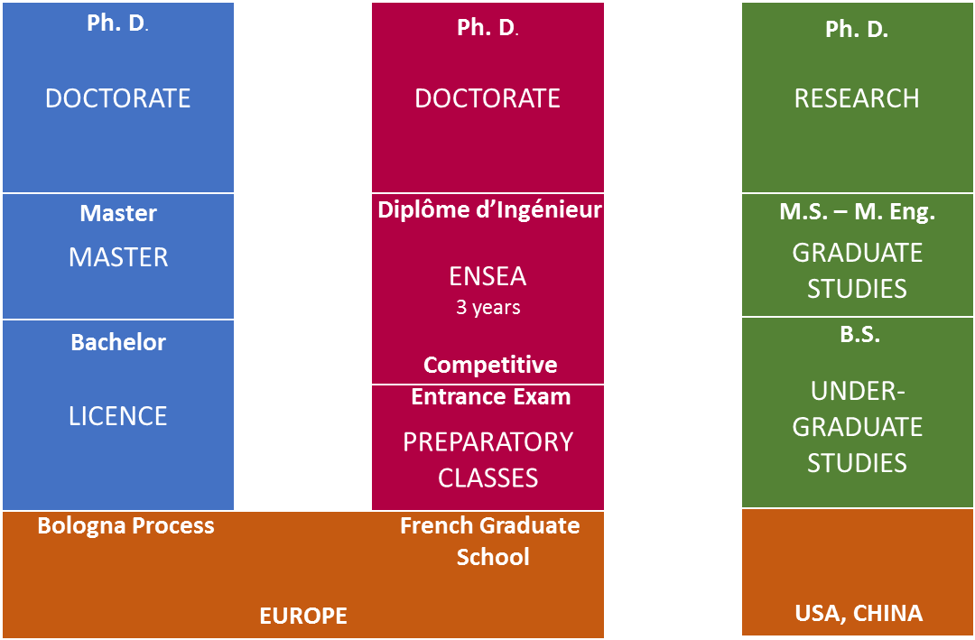 Download Cursus PNG Image with No Background - PNGkey.com