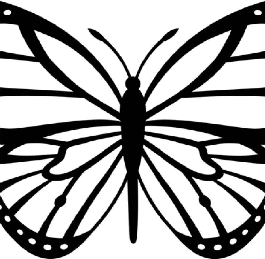 Download Butterfly Outline Clipart Butterfly Outline Clipart