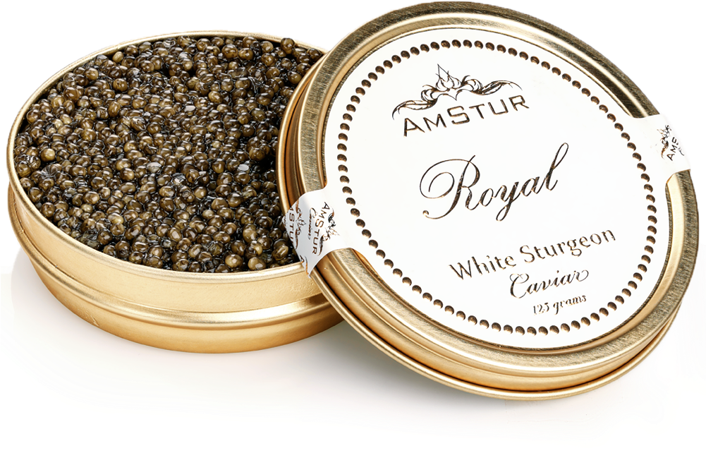 Download Prev PNG Image with No Background - PNGkey.com