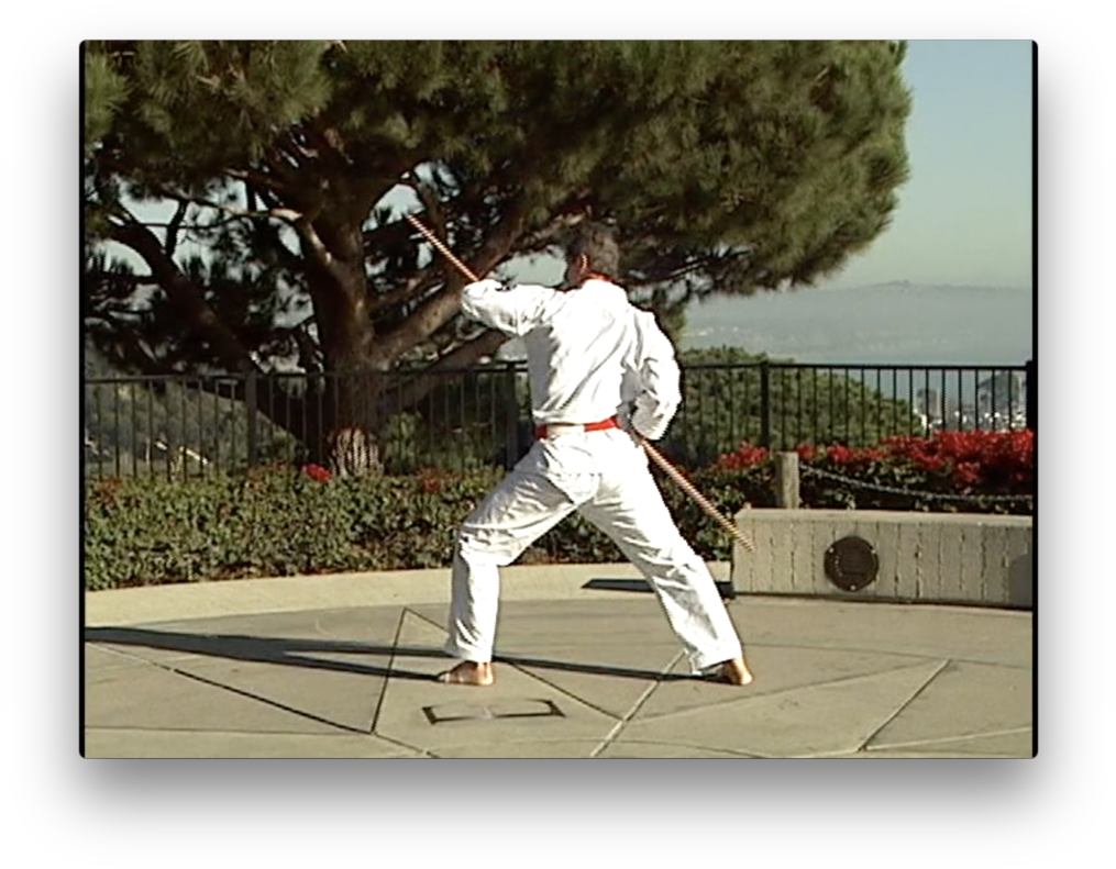 Download Complete Okinawa Isshin Ryu Karate Vol 3 By Kim Murray - T'ai ...