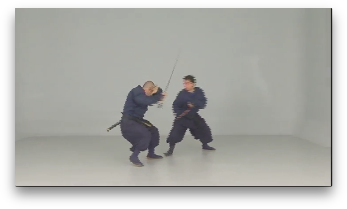 Download Iga Ryu Ninjutsu Empty Hands Techniques By Juan Hombre - Wushu ...