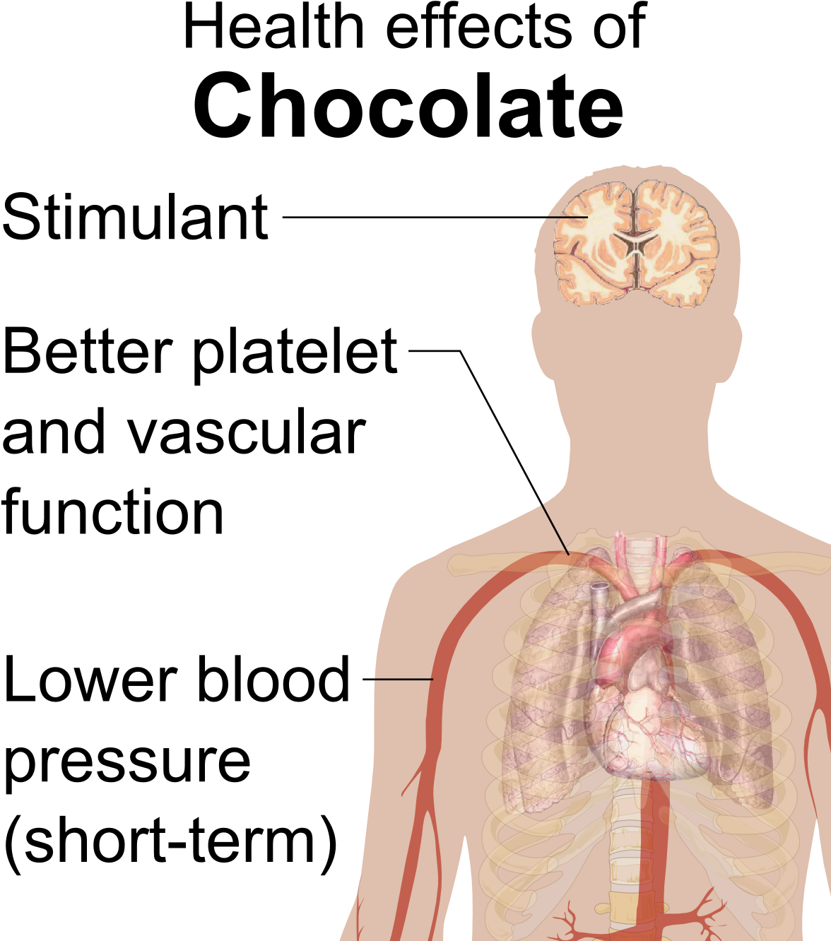 Download Health Effects Of Chocolate - Smaak En Effecten Van Chocolade ...