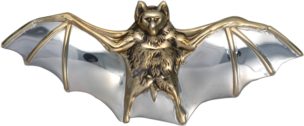 Download Little Brown Myotis PNG Image with No Background - PNGkey.com