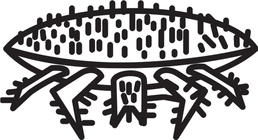 Download Varroa And Beekeeping - Cancer PNG Image with No Background ...