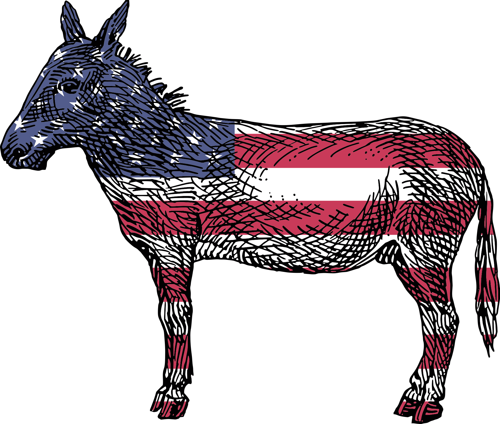 Download Democratic Party Response - Democrat Donkey Transparent ...