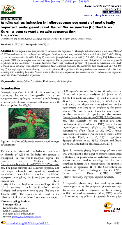 Download Pdf - Tree PNG Image with No Background - PNGkey.com