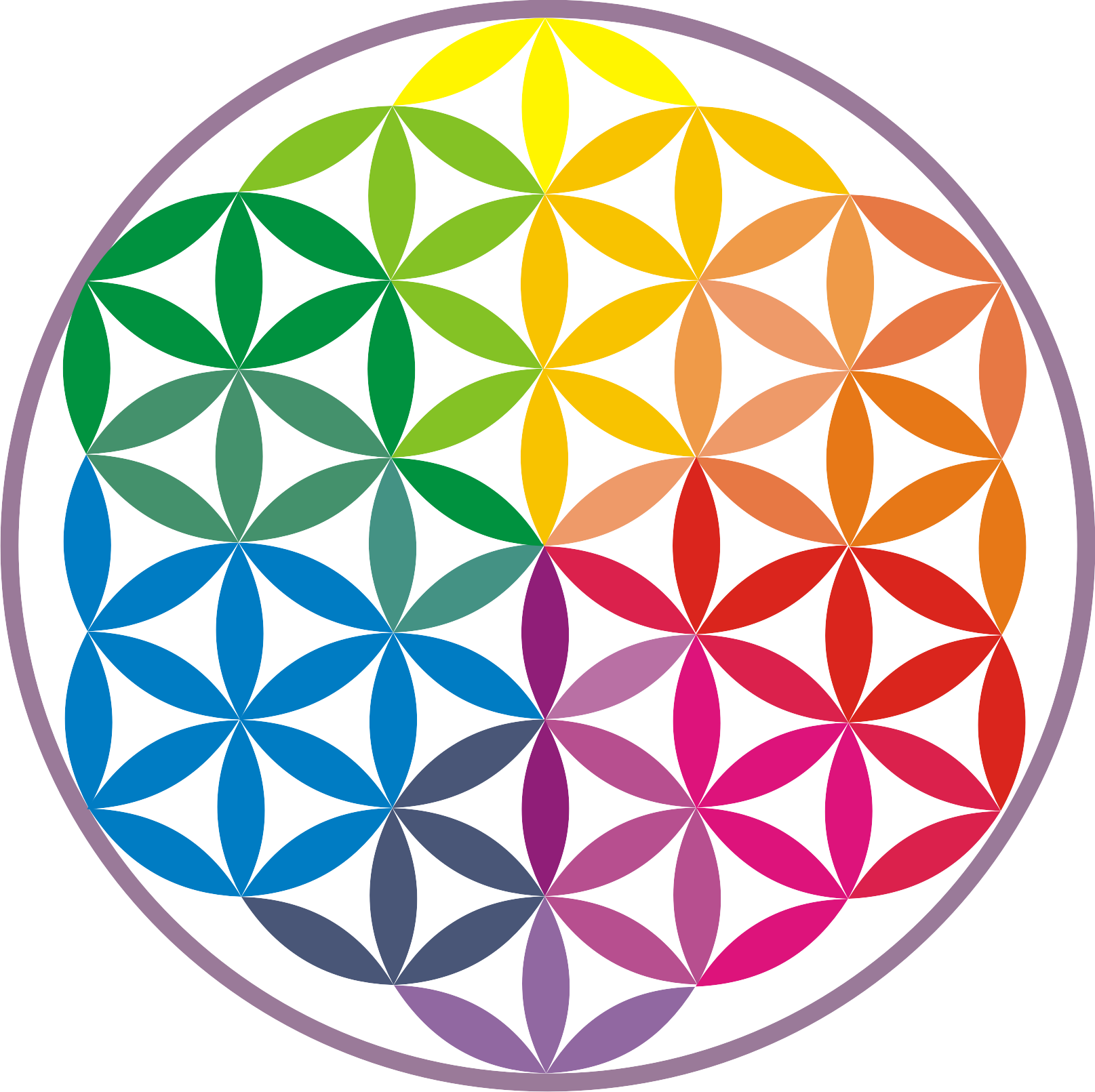 Download Logo Flor Da Vida Colorida Fundo Transparente - Flower Of Life ...