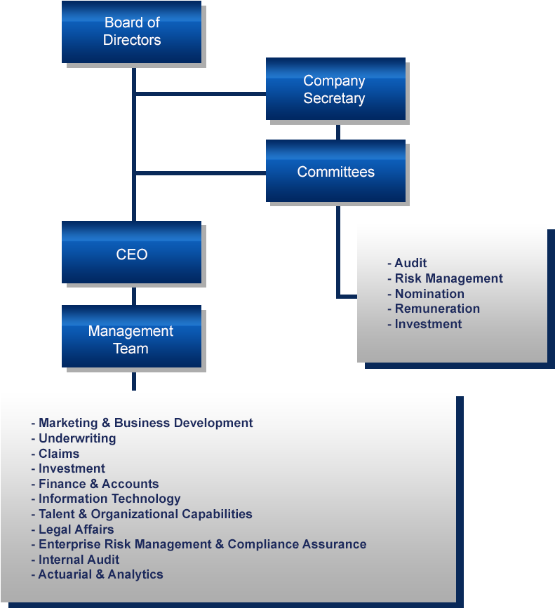 Organization Structure - Organisational Structure Of Insurance Company ...