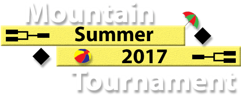 Download Tournament Bracket - Graphic Design PNG Image with No ...