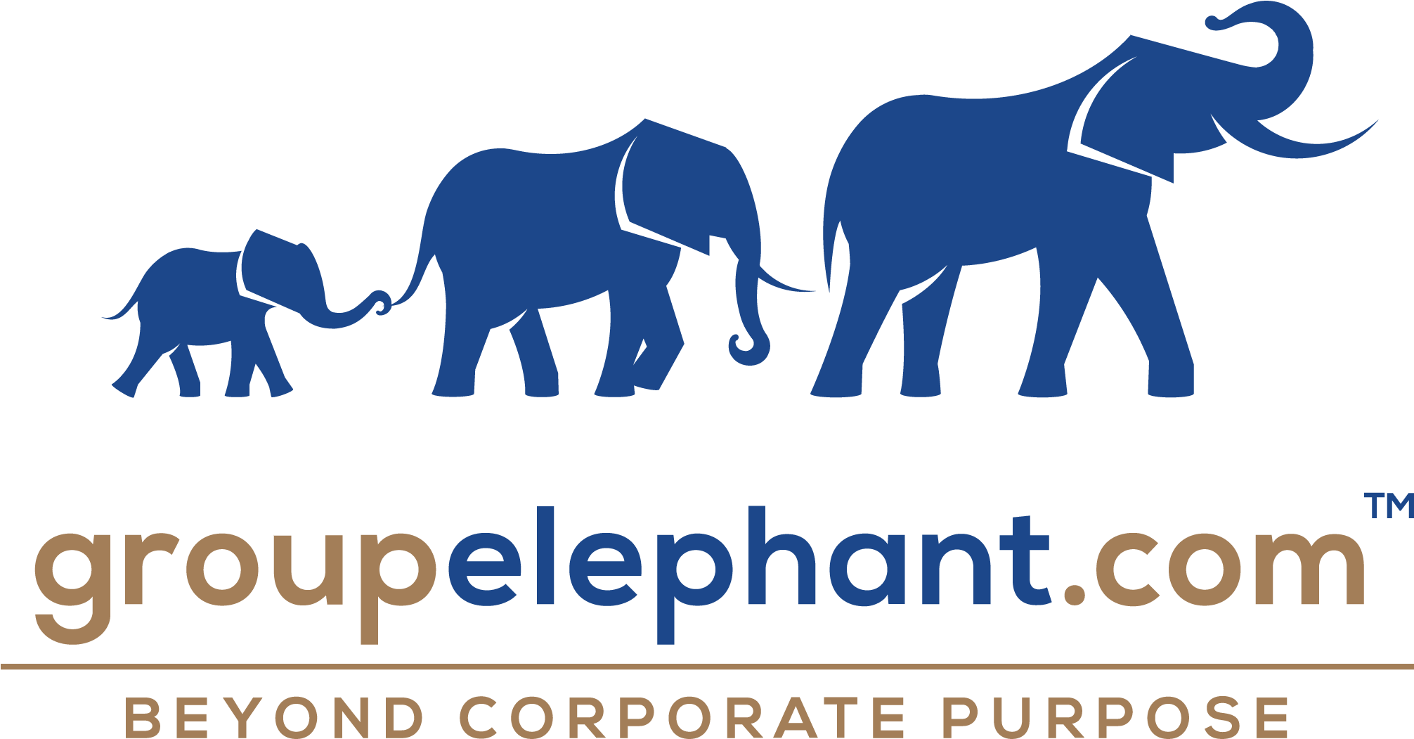 Download Part Of The Groupelephant - Indian Elephant PNG Image with No ...